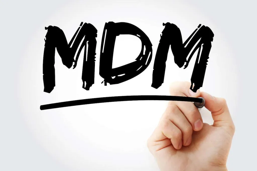 Vendor Master Data Management (MDM): Best Practices | BooksTime